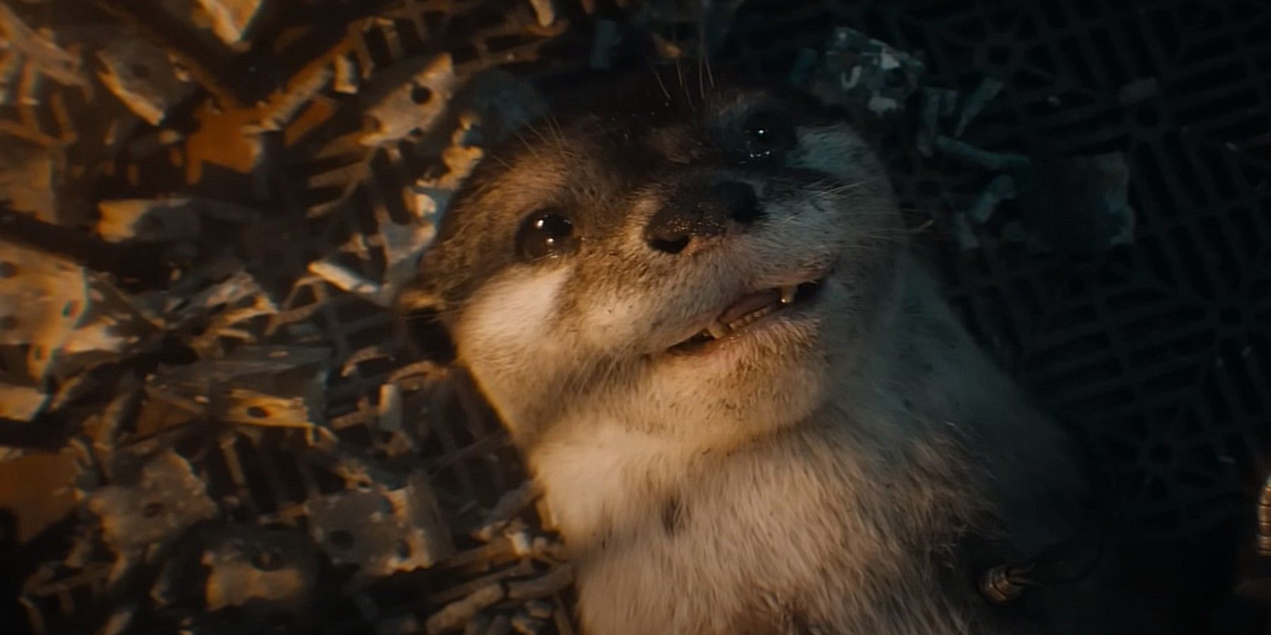 Guardians of the Galaxy Vol3: Lylla's Shocking Role Revealed!